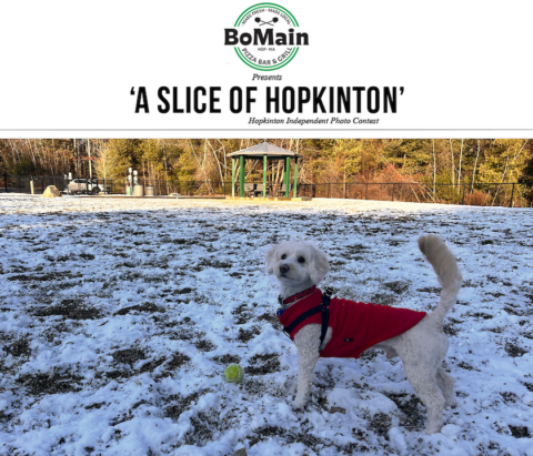 BoMain Slice of Hopkinton photo contest winner, Jan. 15 edition ...